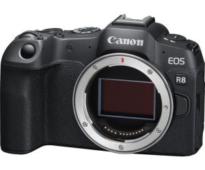Best Canon Cameras for Landscape Photography - Photography Talk
