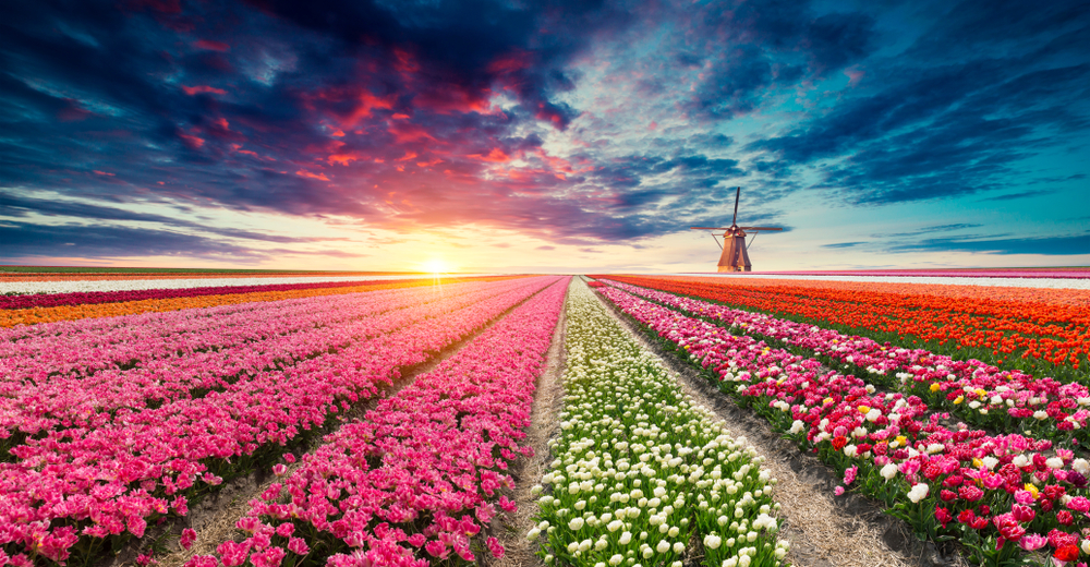 Tips & Techniques for Stunning Landscape Photography