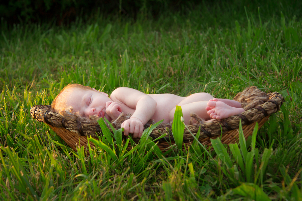 Capturing the Beauty of Lifestyle Newborn Photography - Photography Talk