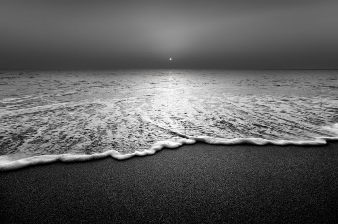 Mastering the Art of Black and White Nature Photography