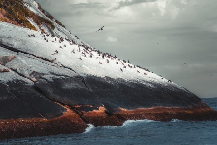 Discover 5 Creative Landscape Photography Tips to Try Today