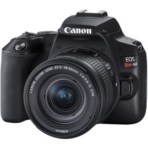Best Canon Cameras for Beginners: Top Picks for 2024