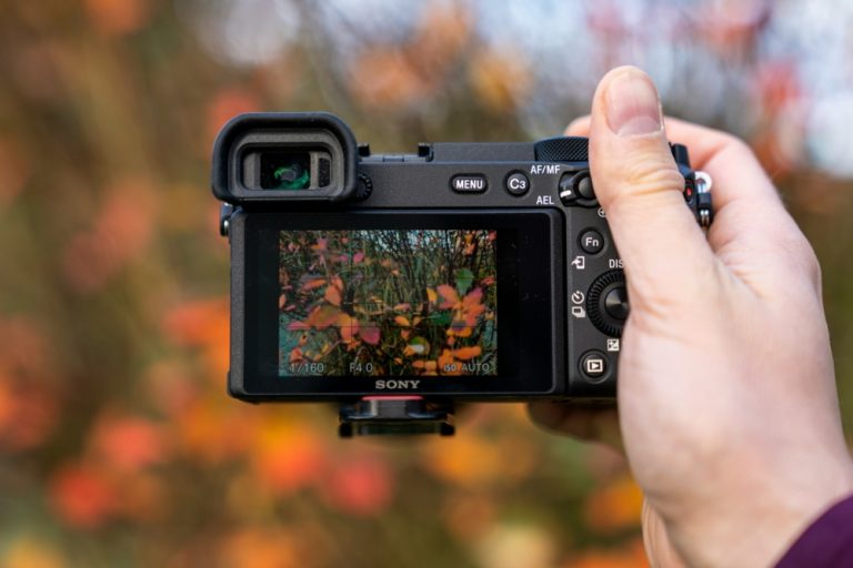 Sony A6600 Review: Features, Performance, and Expert Insights
