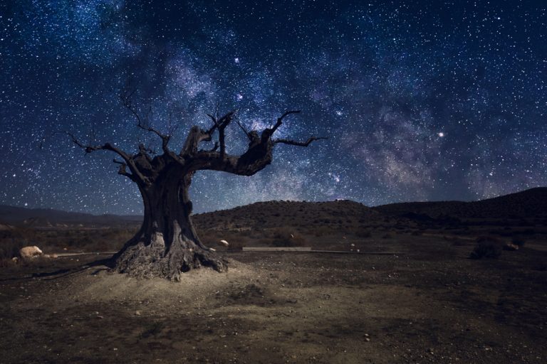 Light Pollution and Its Effects on Astrophotography