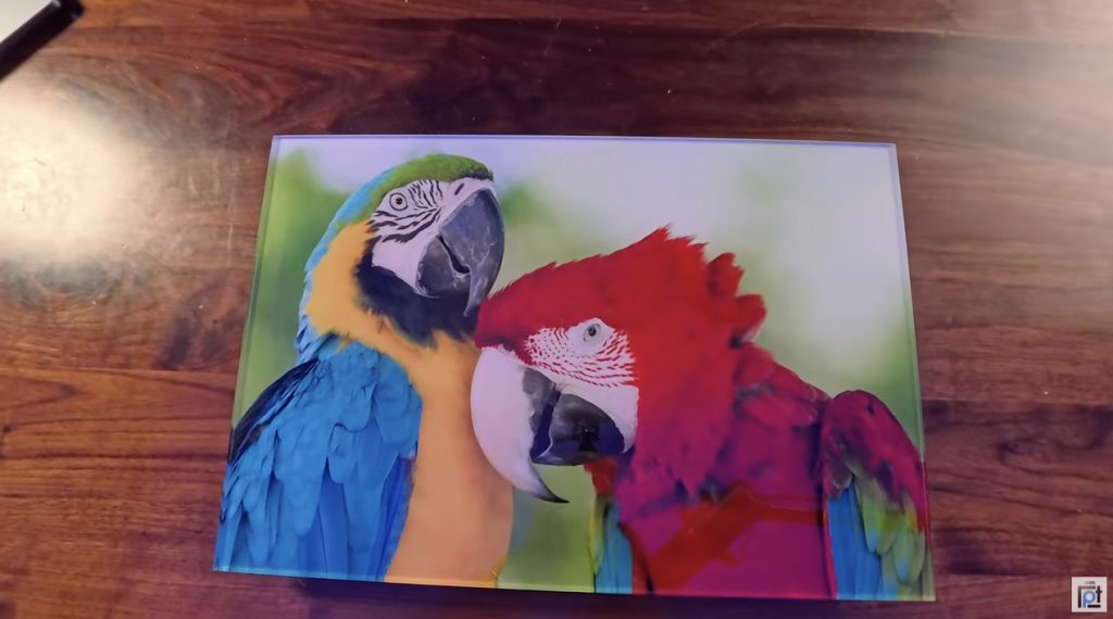 Metal vs Acrylic Prints: Which is Best for Your Photos?