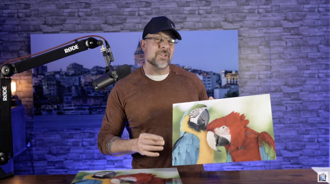 Metal vs Acrylic Prints: Which is Best for Your Photos?