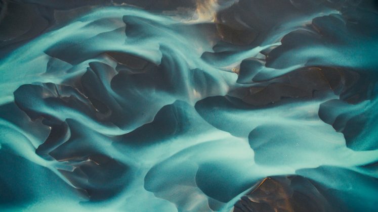 5 Abstract Nature Photography Tips - Photography Talk