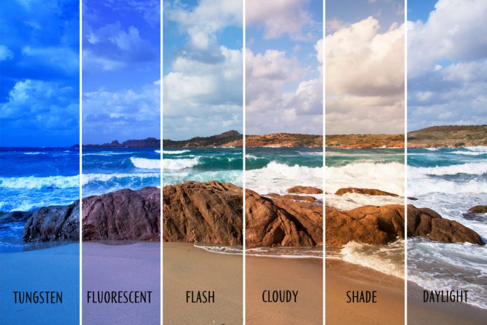 White Balance Explained for Beginner Photographers - Photography Talk