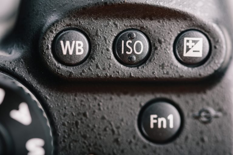 White Balance Explained for Beginner Photographers - Photography Talk