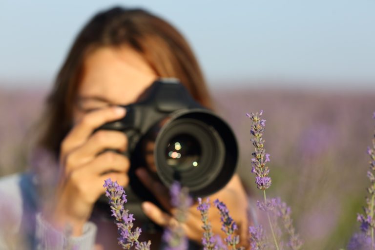The Best Camera Settings for Flower Photography - Photography Talk