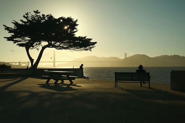 Fujifilm X100V Review: Why This Camera Still Stands Out