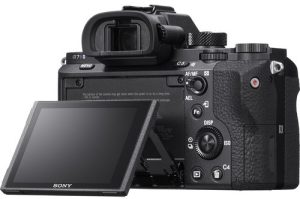 Sony A7S II: Still a Low-Light and Video Powerhouse