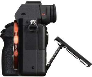 Sony A7S II: Still a Low-Light and Video Powerhouse