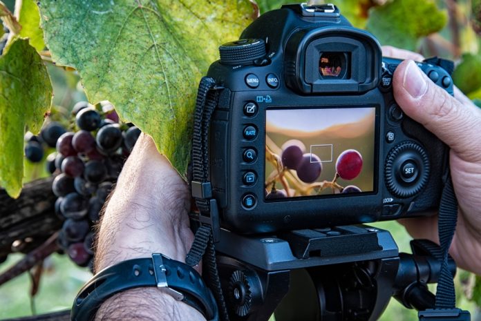 How to Focus on Camera? Focus Mode Explained for Sharper Shots
