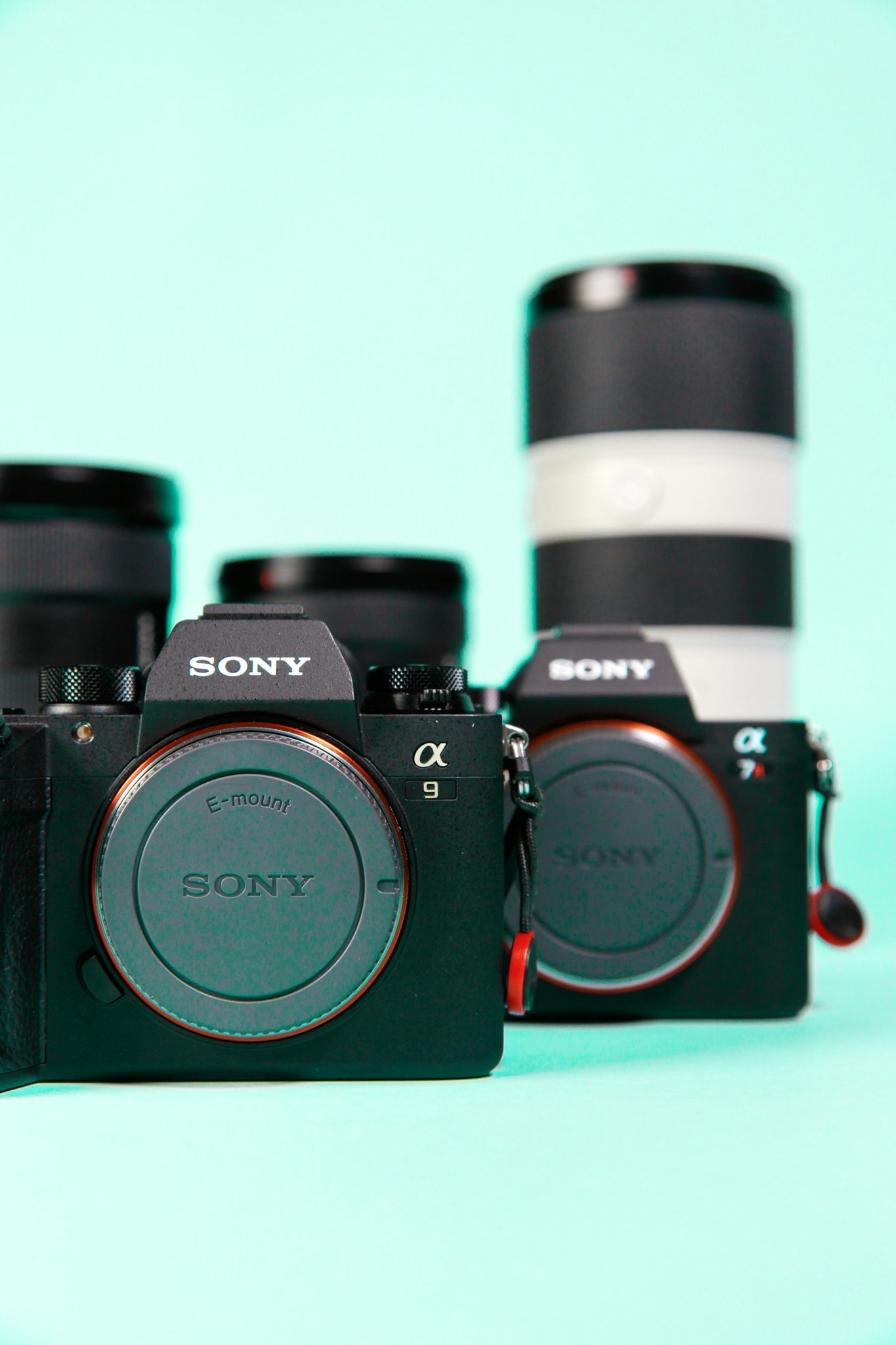 Sony a9 Mirrorless Camera: Speed, Power, and Legacy