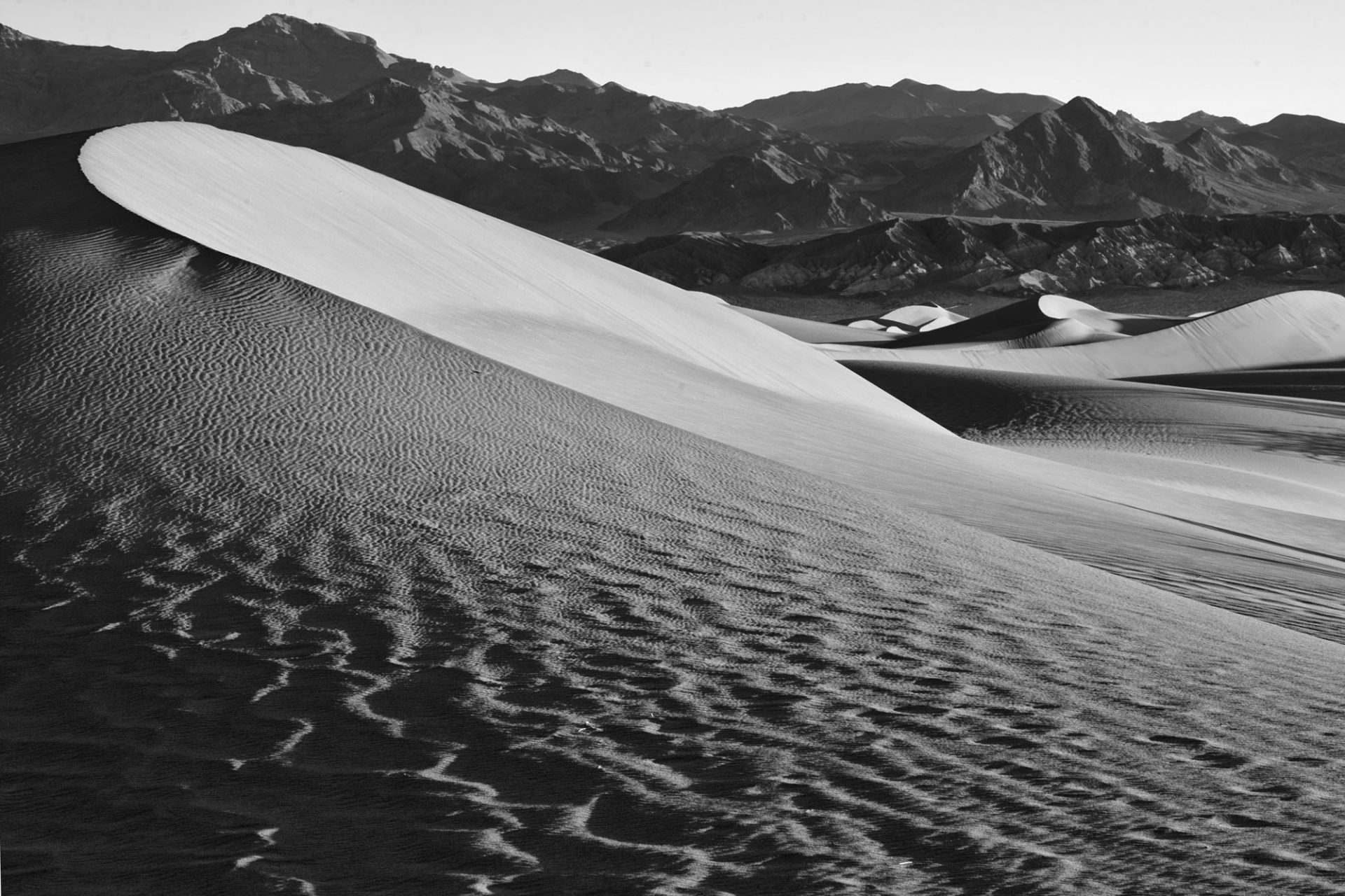 Best Photography Workshops to Attend in 2026