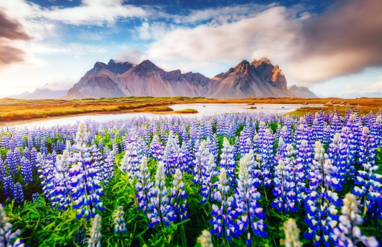 Best Zoom Lenses for Landscape Photography & MPB Buying Tips