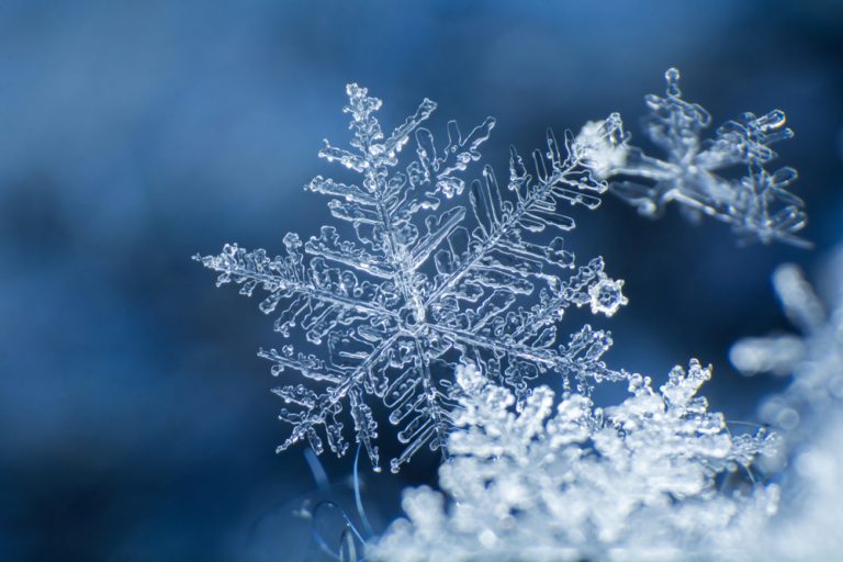 How to Capture Snowflakes: Macro Winter Photo Tips
