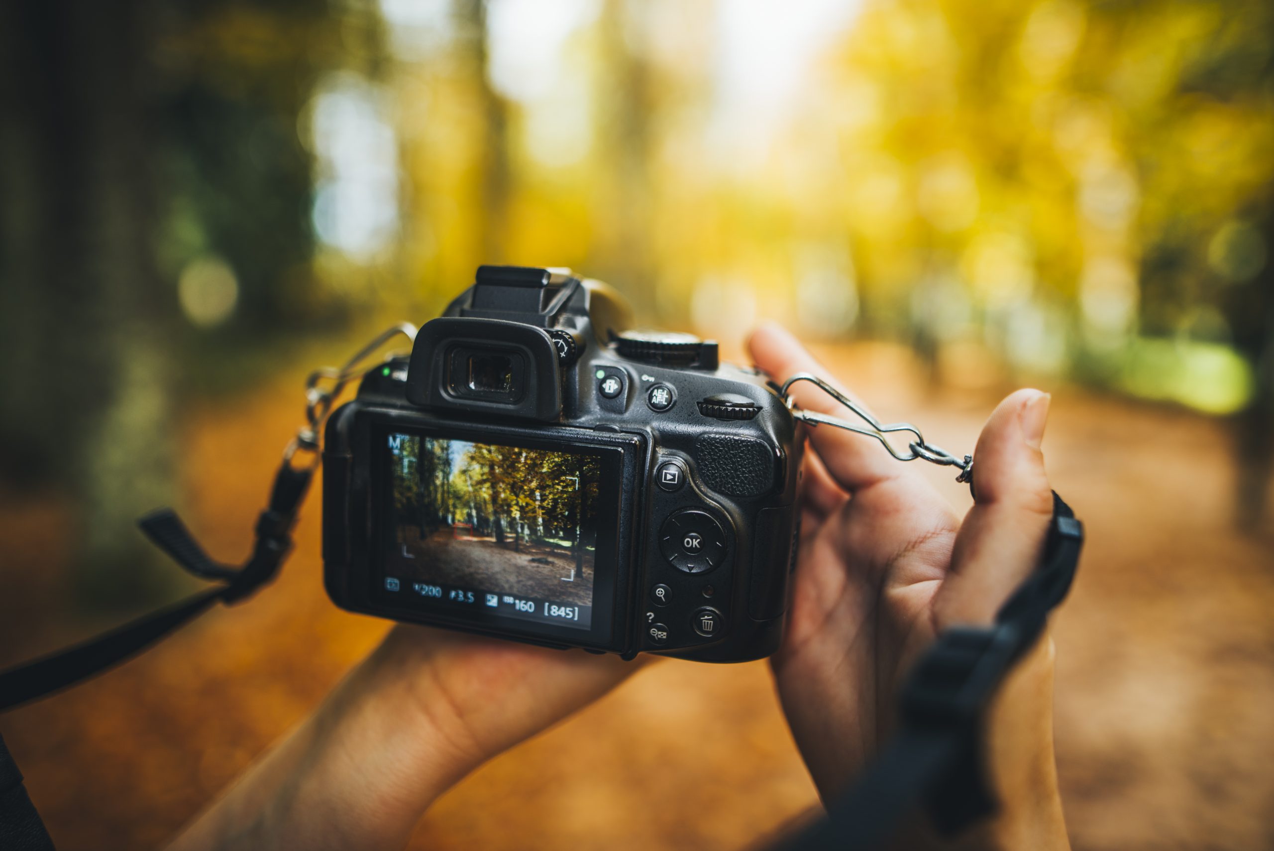 The Lost Art of Slowing Down: What Shooting Less Taught Me About ...