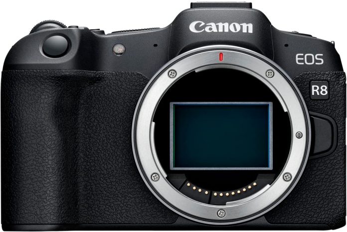 Canon EOS R8 Review: Compact Full-Frame Power & Value
