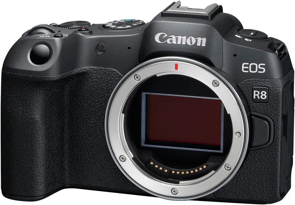 Canon EOS R8 Review: Compact Full-Frame Power & Value