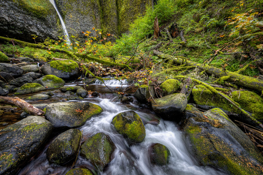 How to Photograph Fall Colors: Lessons from Oregon's Most Vibrant ...